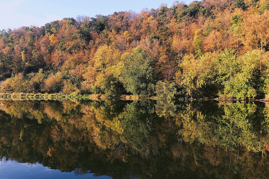 Fall Family Fun Guide in Lanesboro, Minnesota - Lanesboro, MN | Scenic ...