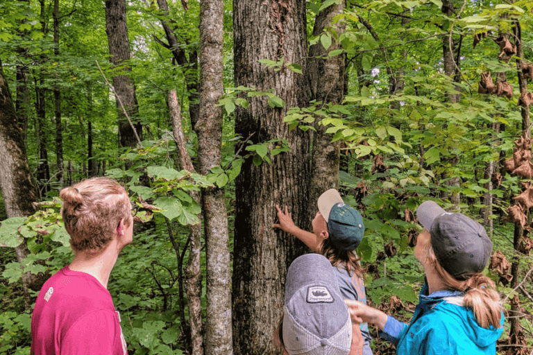 The 6 Best Places to Hike and Bike In & Around Lanesboro, Minnesota - Lanesboro, MN | Scenic ...